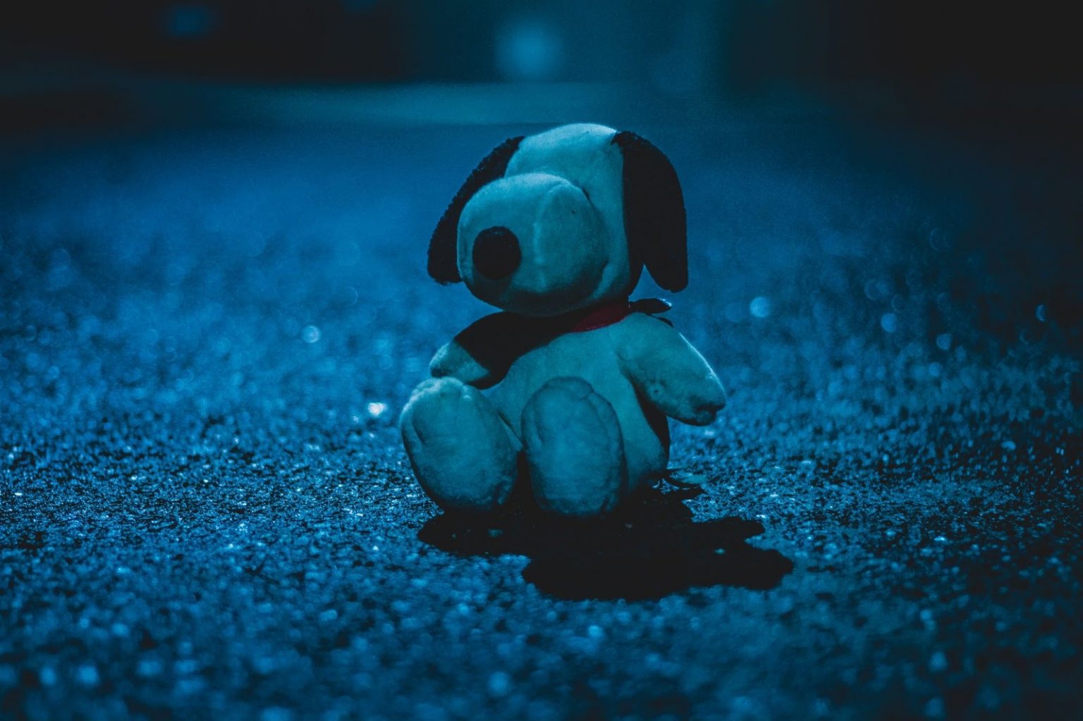 Is Snoopy a Beagle? 10 Characteristics of Snoopy That Makes Him a Beagle